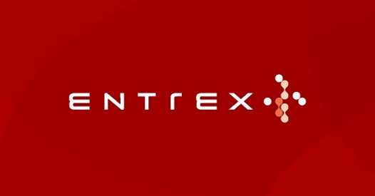 Entrex e.K. | Bildkontakte.de | Jobs - FRONTEND WEB-ENTWICKLER mit ...